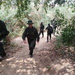 FANB se mantiene alerta y desplegada en la frontera con Colombia - Qué Pasa