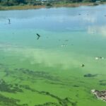 ICLAM activará plan de acción inmediato para el Manejo Integral de la ...