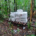 Incautaron 5 Mil Kilos De Marihuana En Amazonas Qué Pasa