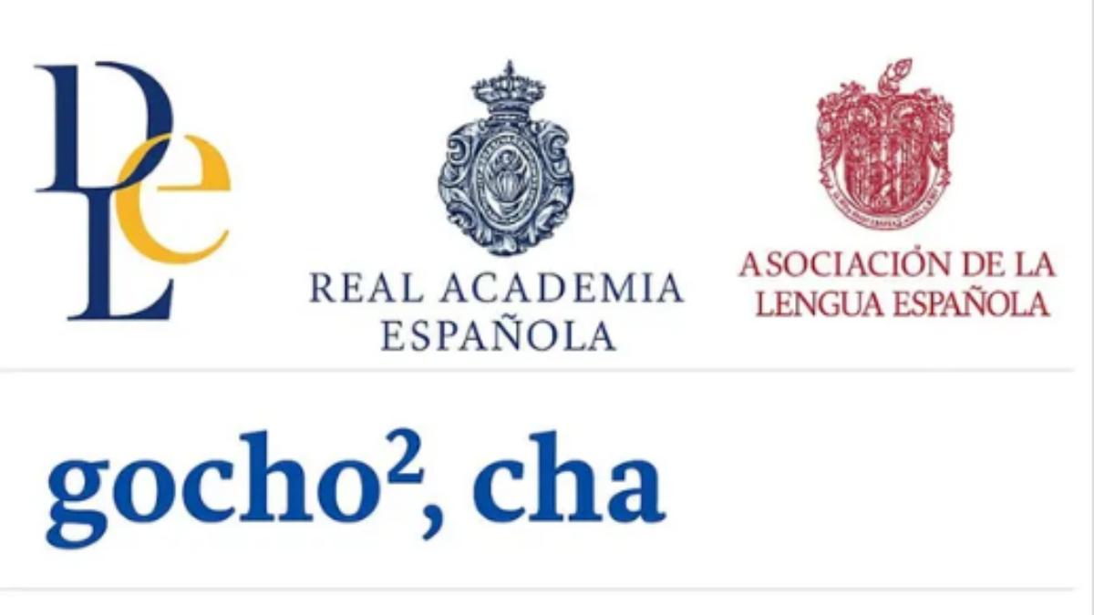 La RAE reconoció la palabra «Gocho» como gentilicio en el Diccionario ...